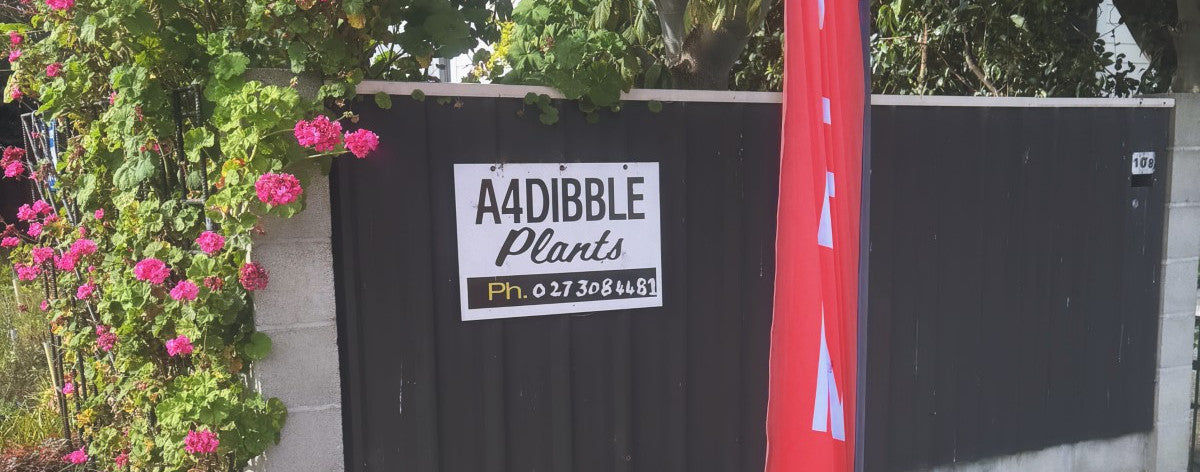 About Us – A4dibble Plants